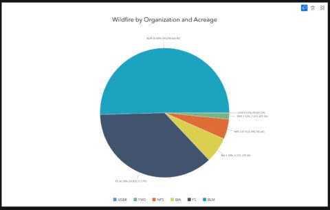 Advanced Pie Chart Customization in Experience Builder - Geospatial ...